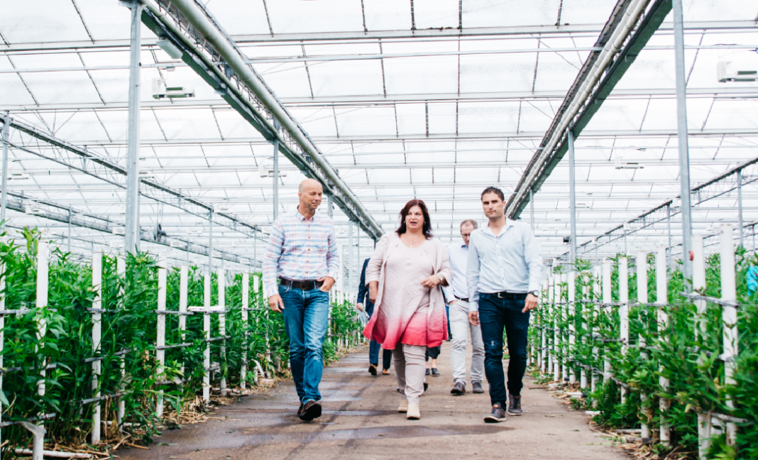 D66 verrast door sterke alliantie verduurzaming glastuinbouw Alton ...